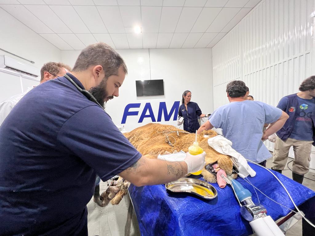 Um dia de muito carinho e cuidados. - FAM – Faculdade de Americana
